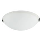MAXILITE 16" CEILING FIXTURE – Vancouver Lighting